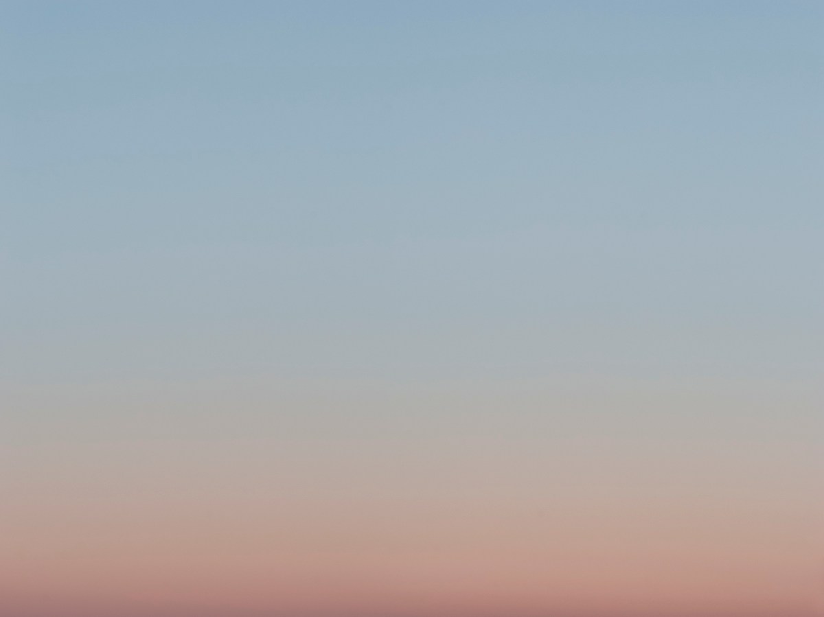 Reflection, 2021 – 2024 | LISA GIPTON